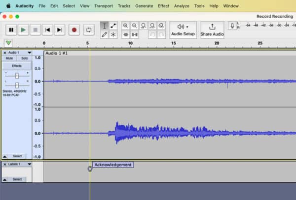 Recording Vinyl Records Into Your Computer: Step by Step (with Video ...