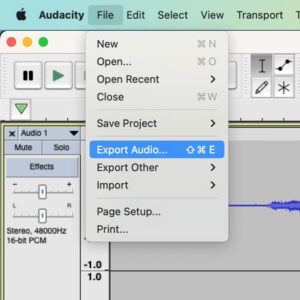 Recording Vinyl Records Into Your Computer: Step by Step (with Video ...
